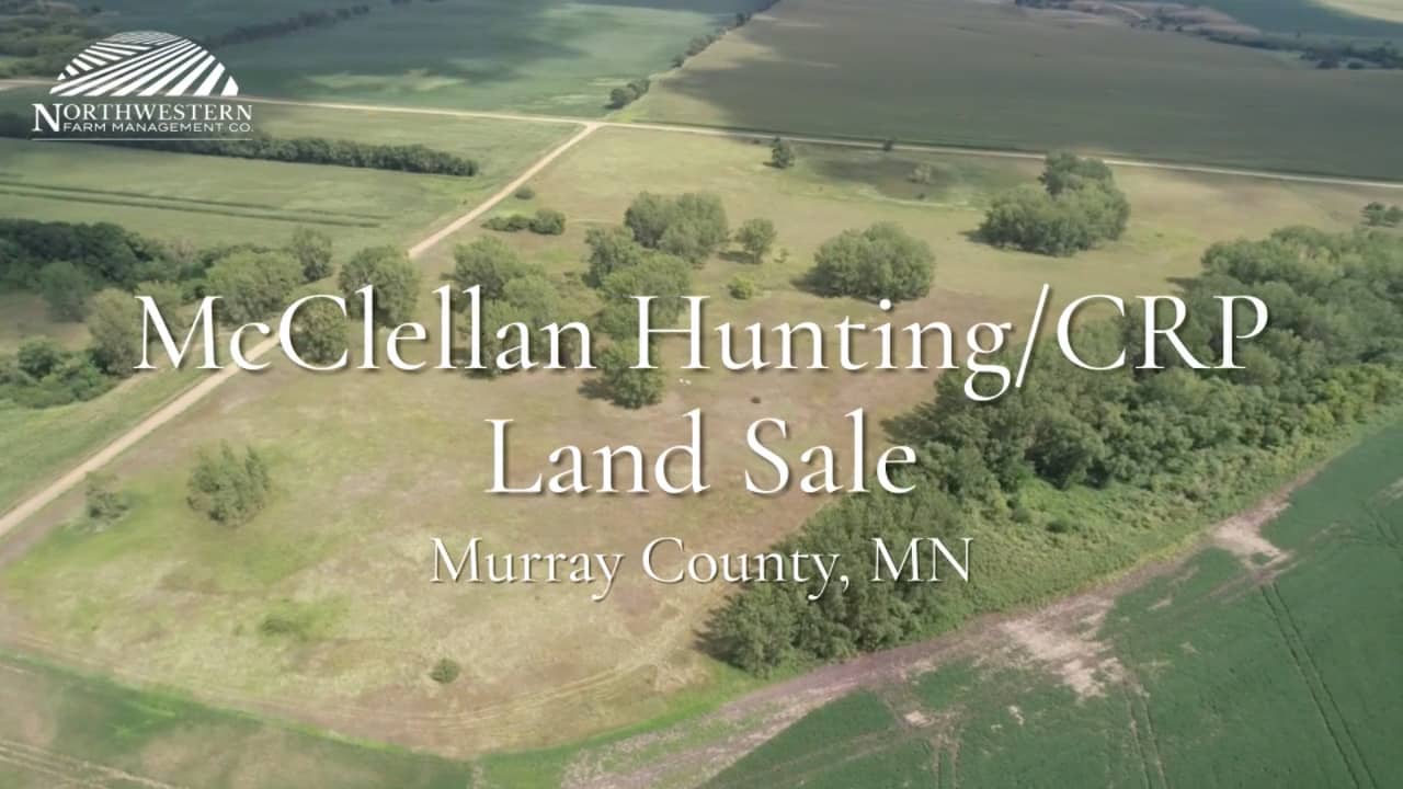 McClellan Hunting/CRP Land Virtual Tour on Vimeo