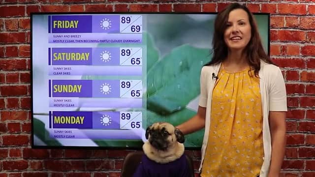 Weekend Weather on Vimeo