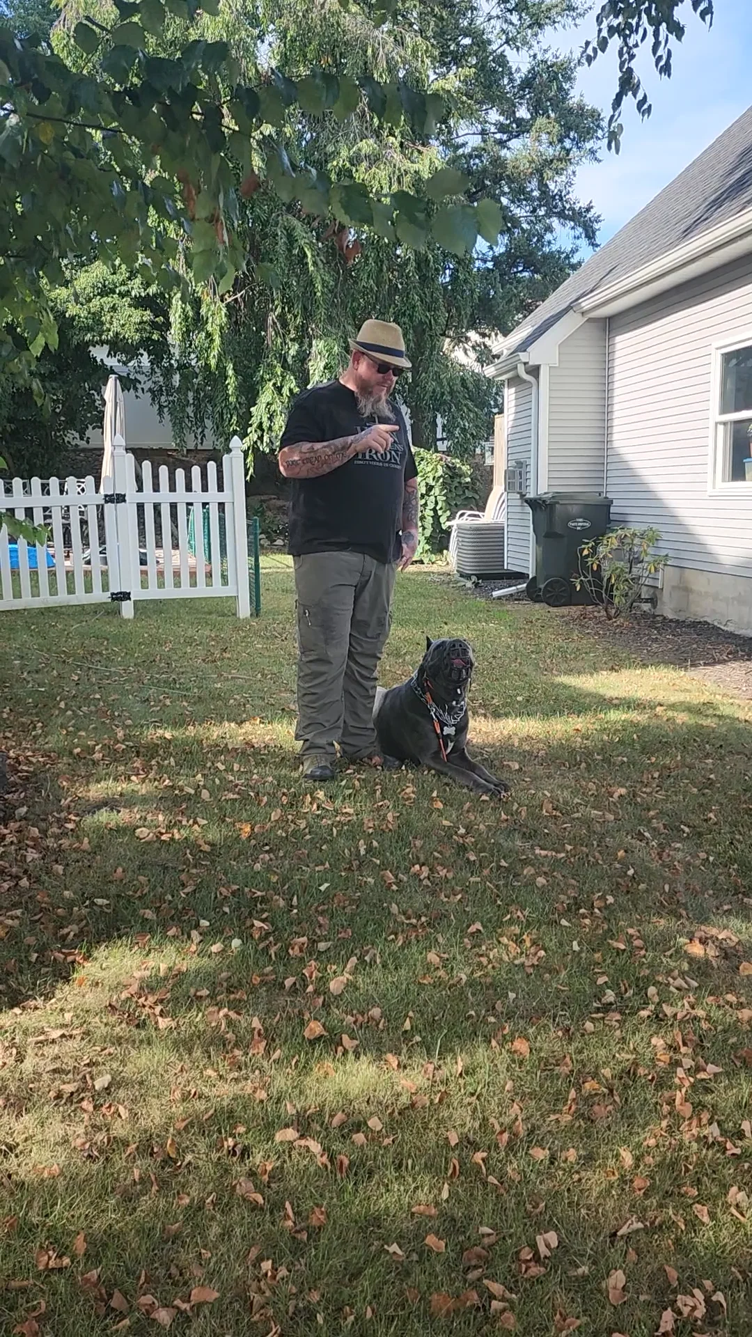 Rollo the 155 lb 24 mo intact Cane Corso on Vimeo