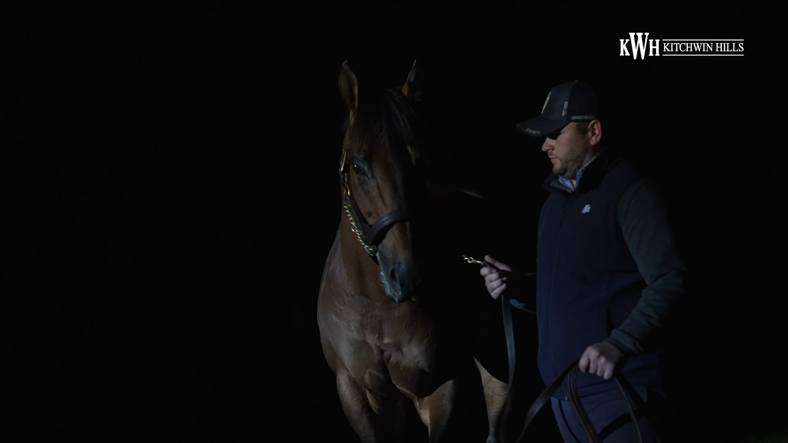 2022 Twilight Stallion Parade - Graff Under Lights! on Vimeo