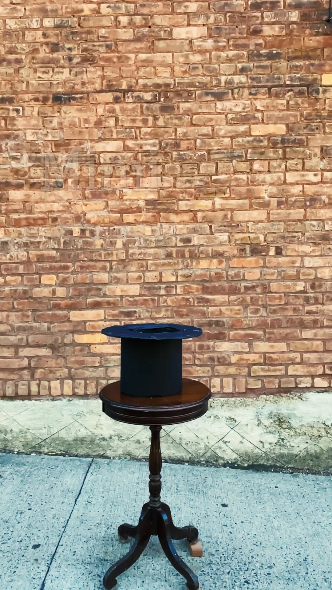 Mimi the Magnificent on Vimeo