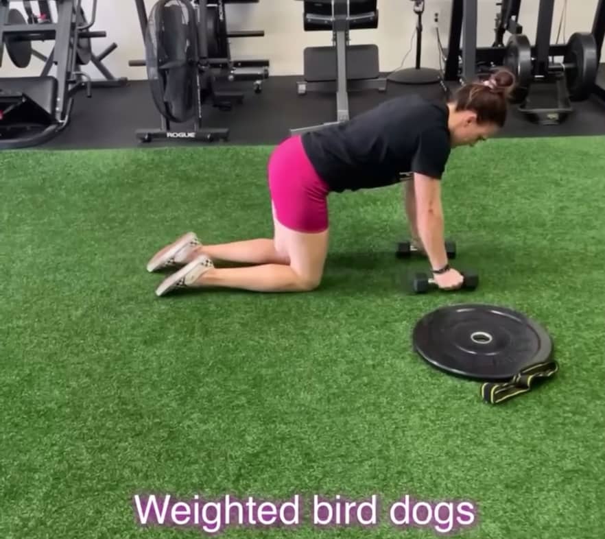 Weighted Bird Dogs.mov on Vimeo