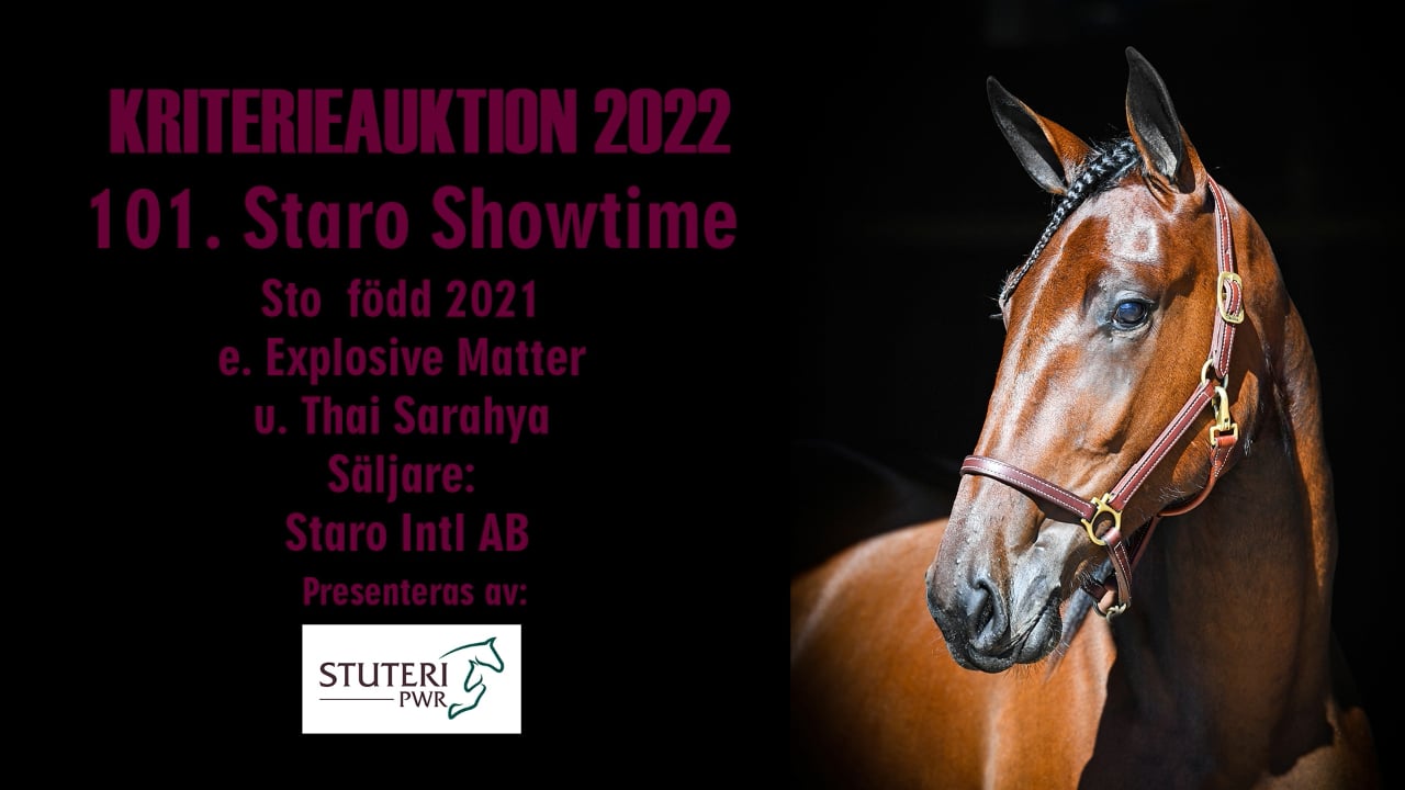 101. Staro Showtime on Vimeo