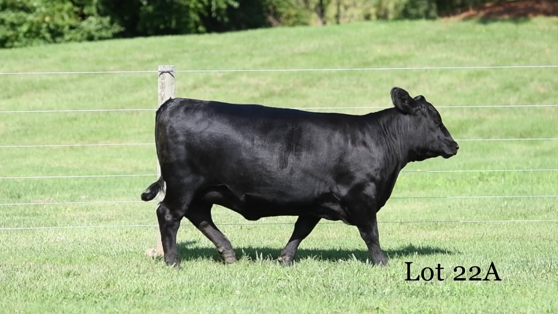 Brumfield Lot 22A on Vimeo
