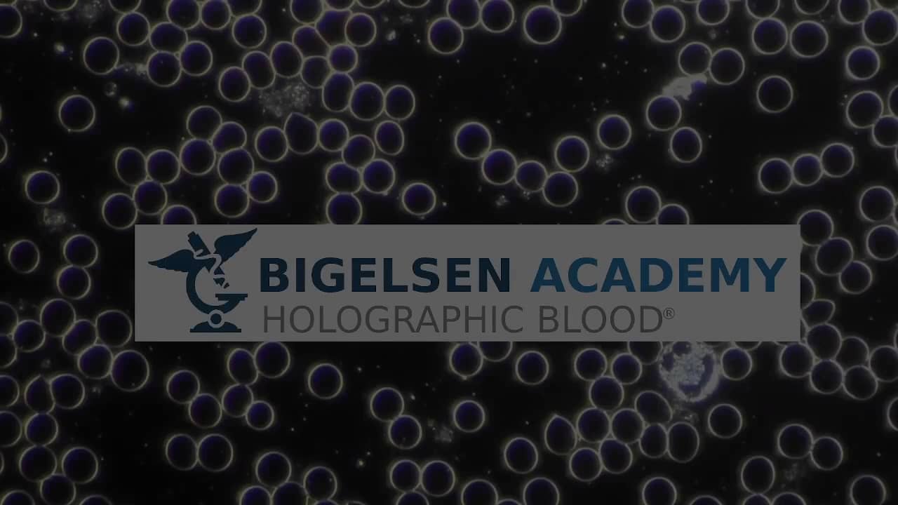 Terrain Course info Dr. Harvey Bigelsen on Vimeo