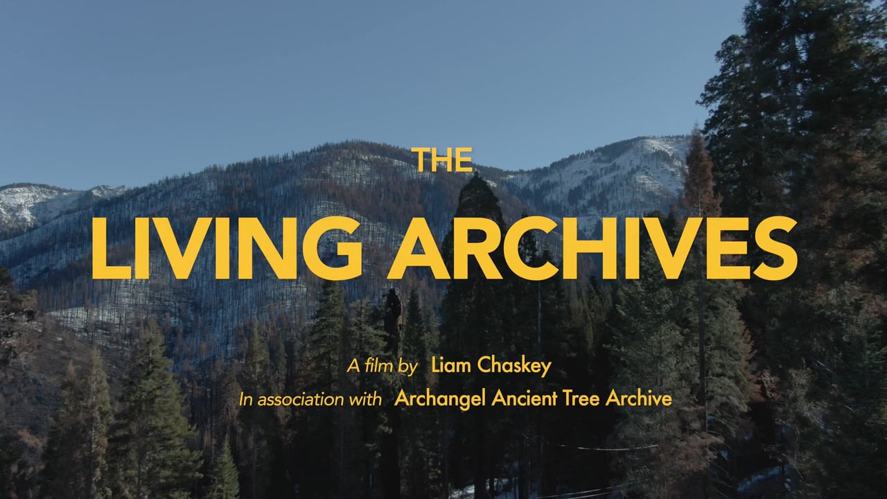 The Living Archives on Vimeo