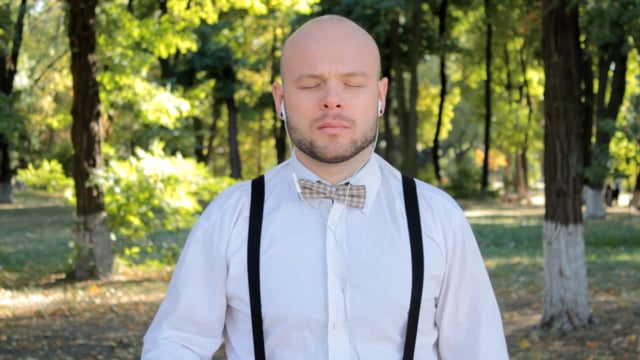 Man Conductor Music - Free video on Pixabay