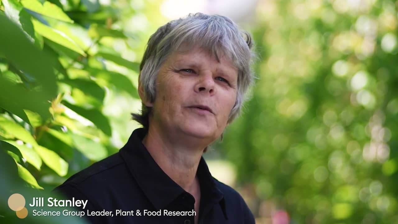 Jill Stanley Science NZ Lifetime achievement award.mp4 on Vimeo