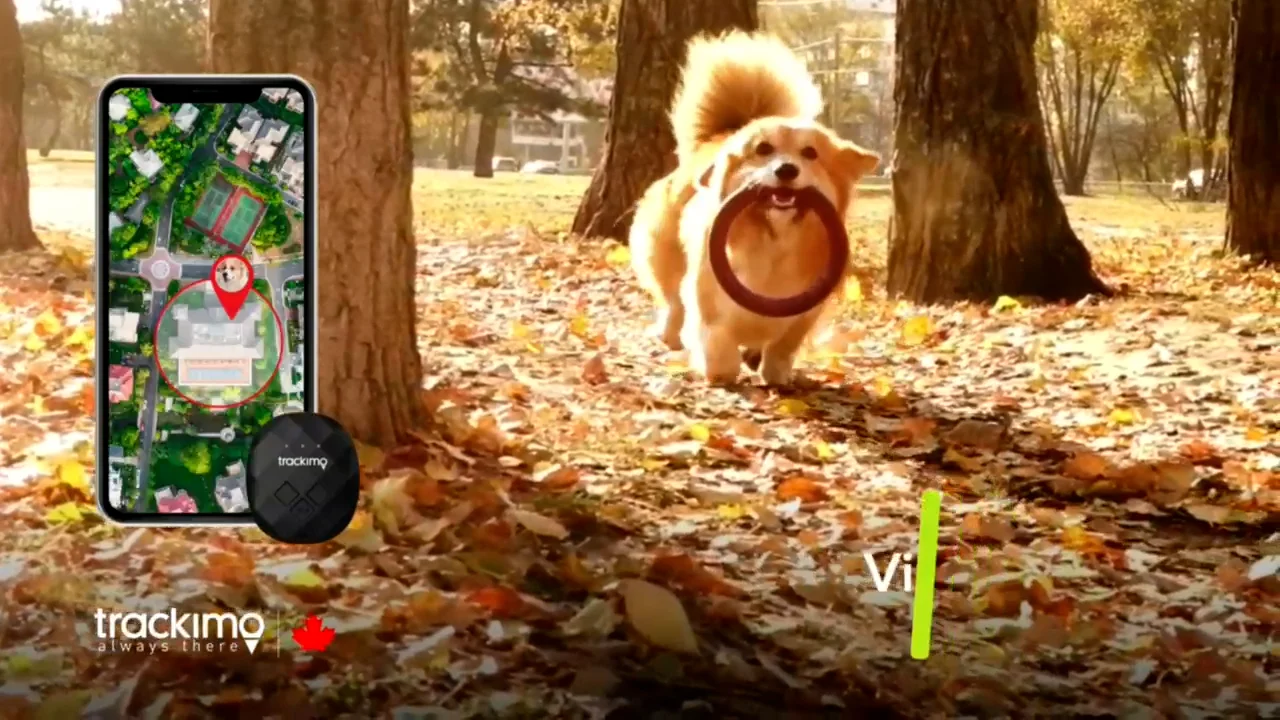 Trackimo 1.mp4 on Vimeo