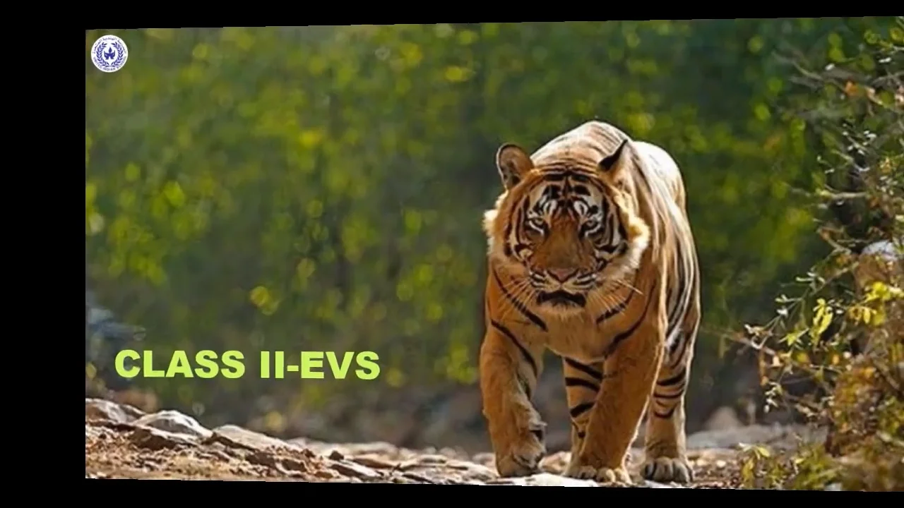 UIS_2016_Lesson 4 Wild Animals -Part 2_20229620151_2456 on Vimeo