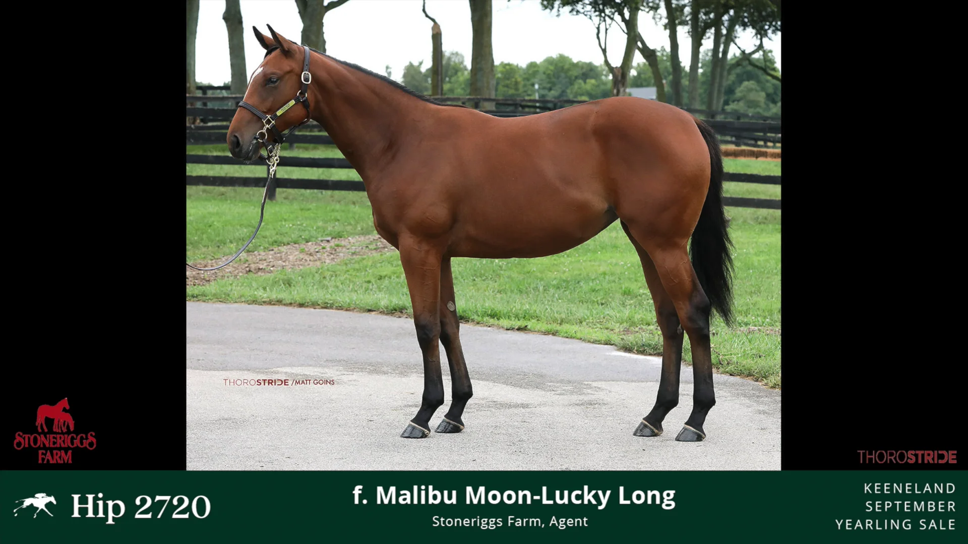 KEESEP22_2720_Lucky Long 21 on Vimeo