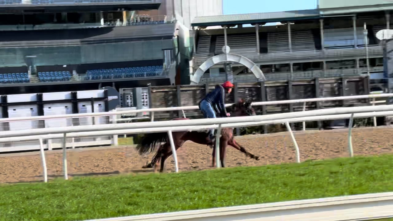 RR x Stallion Heiress ‘20 (outside) on Vimeo