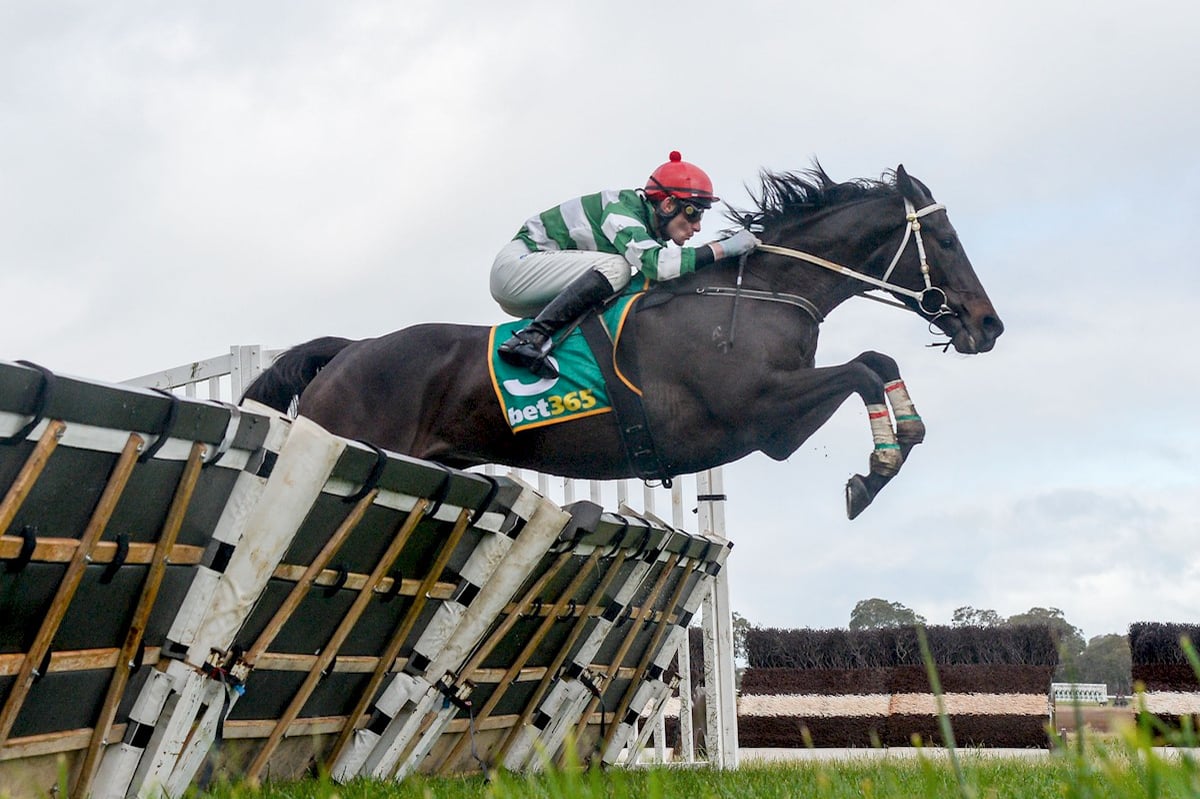 Inglis Digital Horse Of The Year - Castrofrancaru - August 2022 on Vimeo