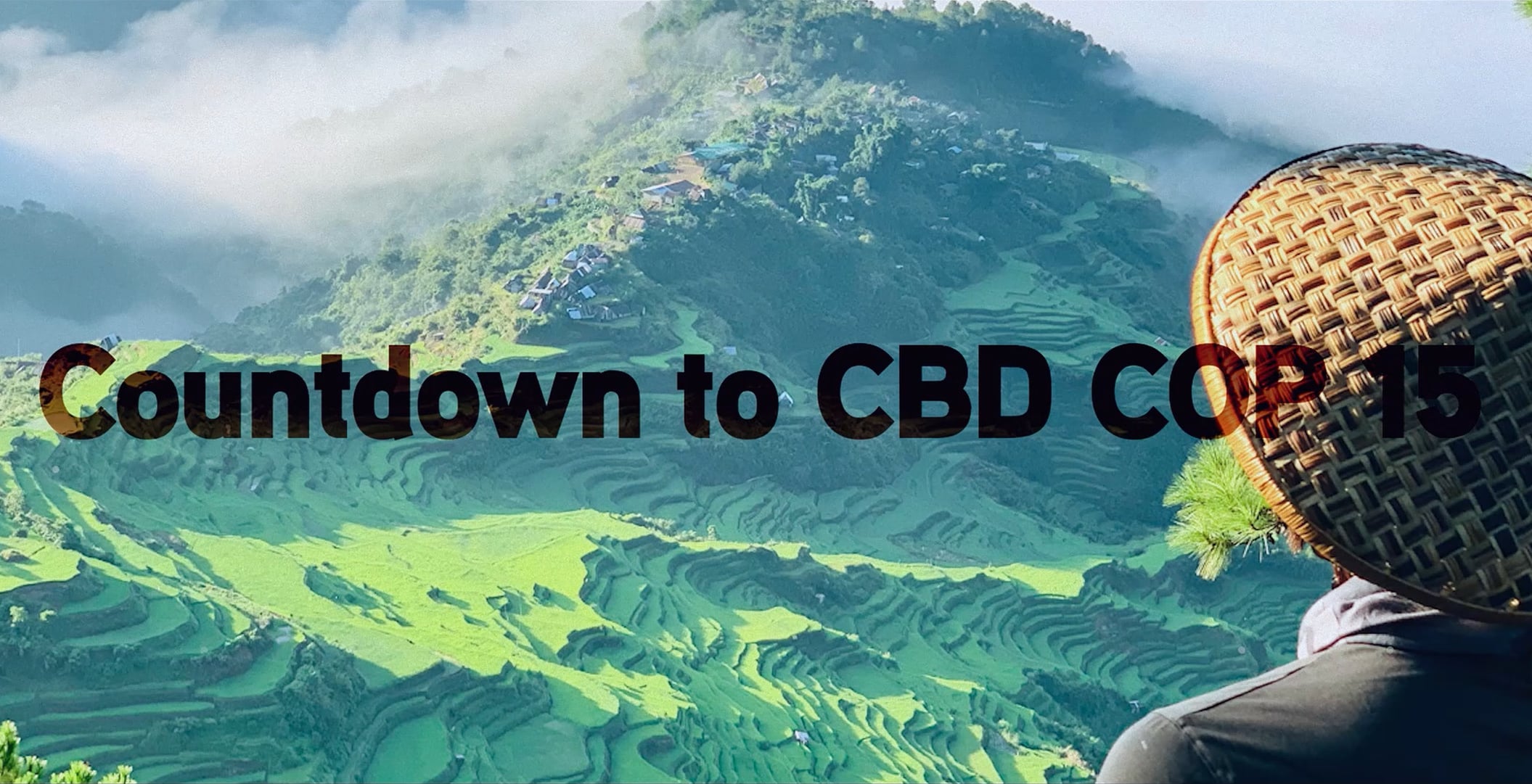 Countdown to CBD COP 15 on Vimeo