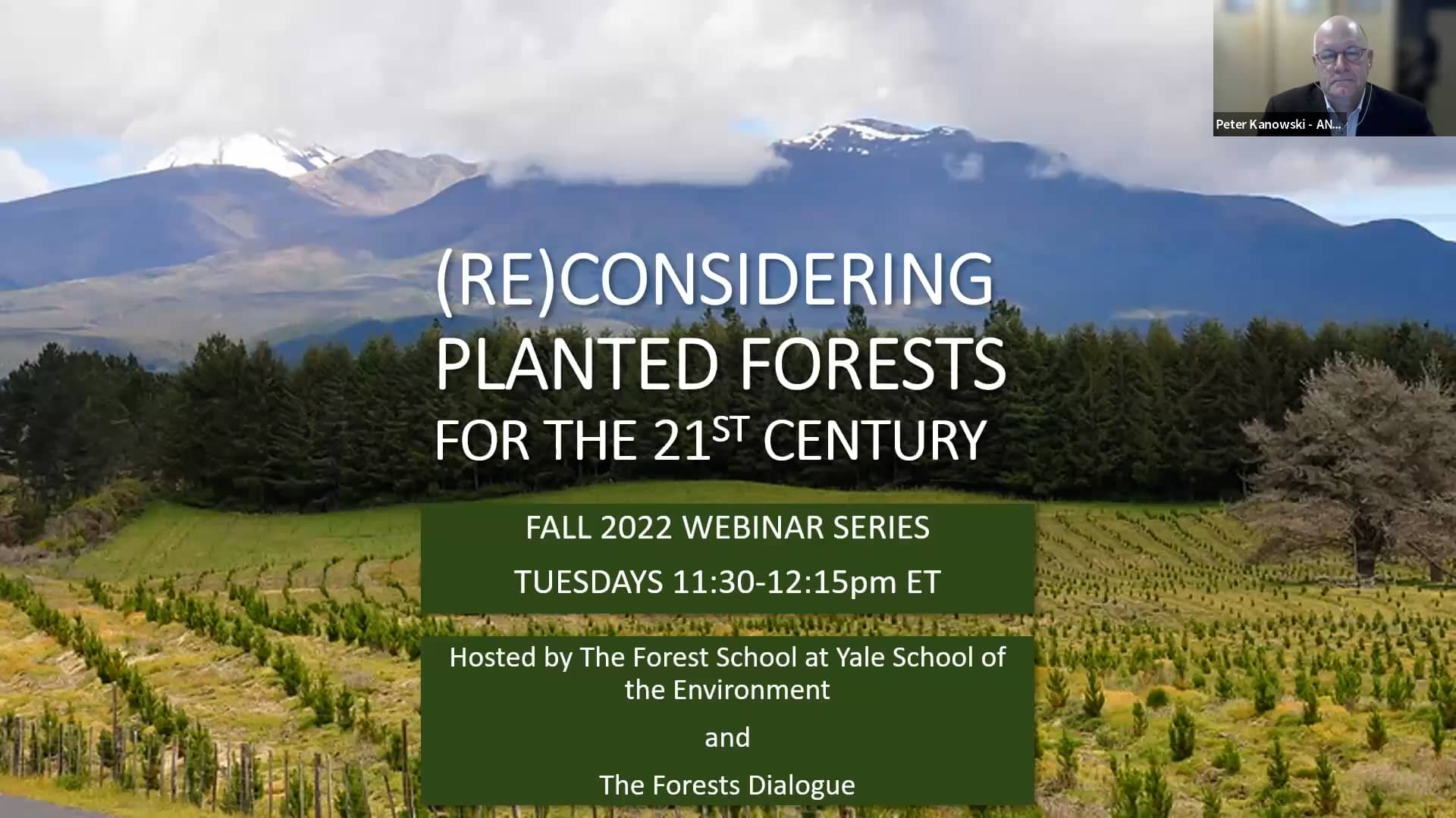 Global Overview of Planted Forests on Vimeo