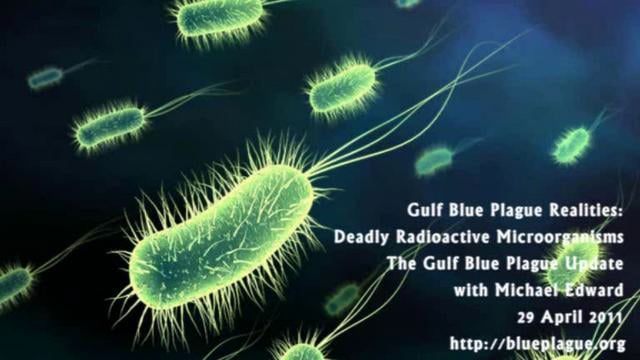 Gulf Blue Plague Realities: Deadly Radioactive Microorganisms on Vimeo