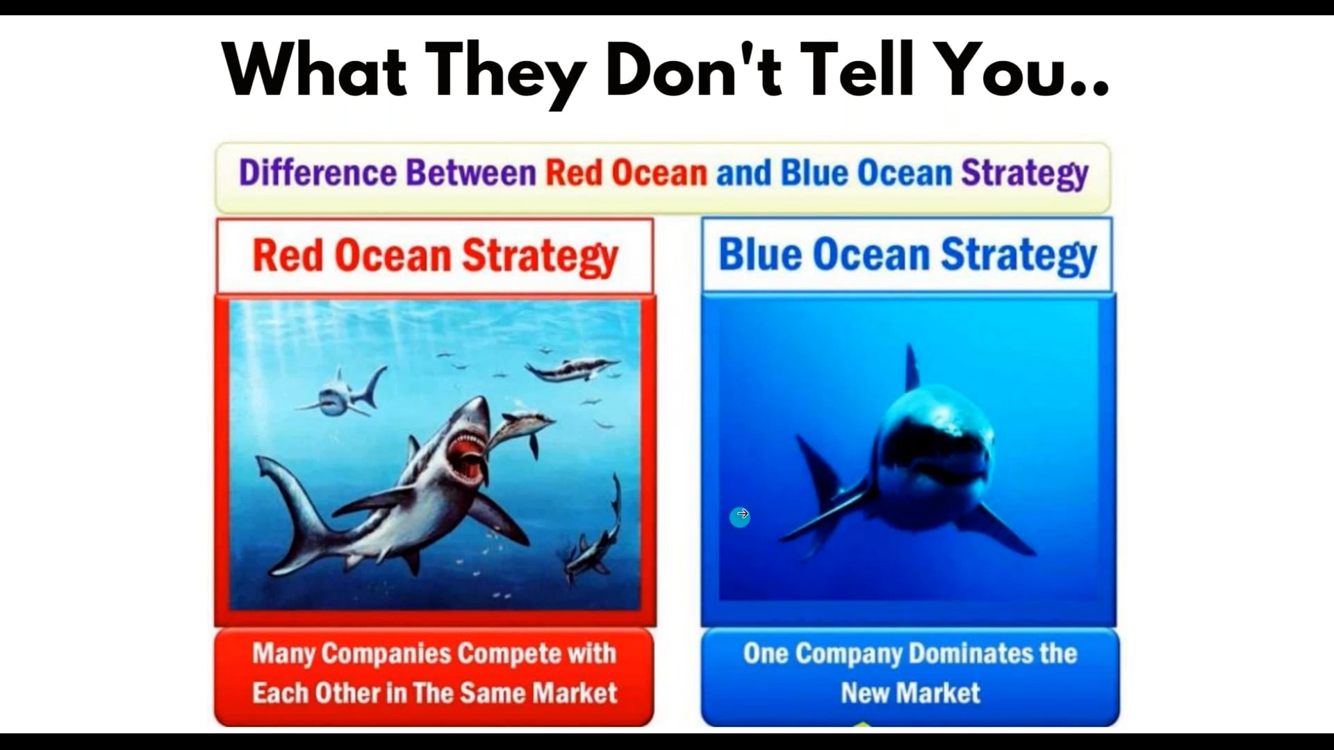 _[Starting] - Discover How To Tap Into This Hot New “BLUE OCEAN” Niche ...