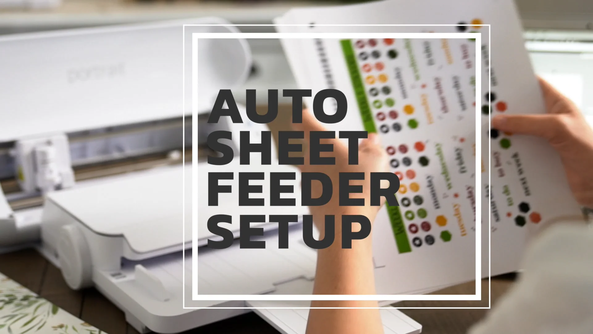 ASF - Portrait 3 Setup - HD 1080p (1) on Vimeo