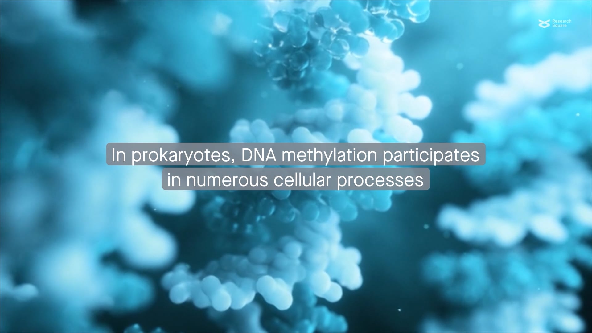 Ocean microbiome DNA methylation affects community structure and host ...