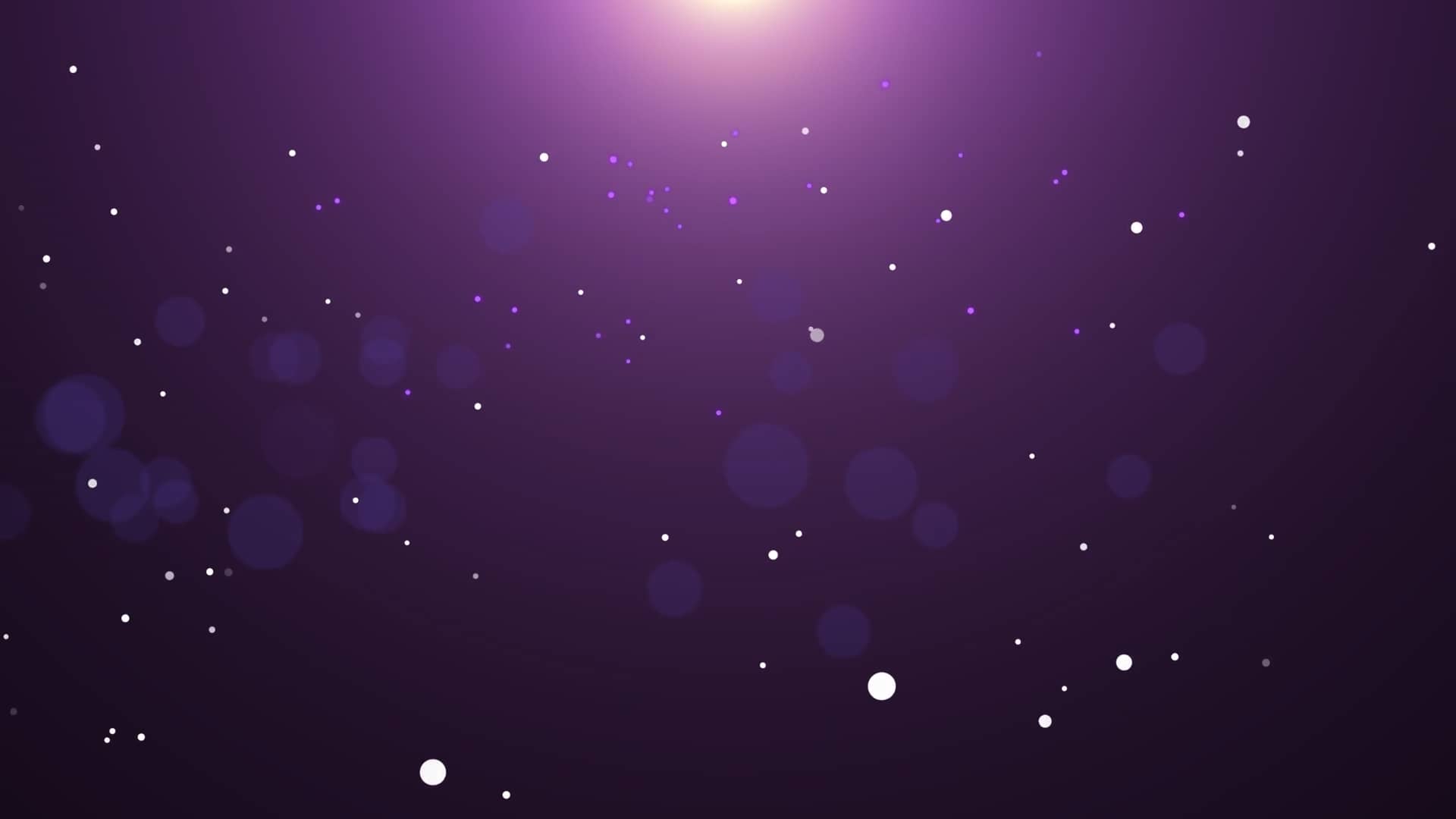 purple particle animation on Vimeo