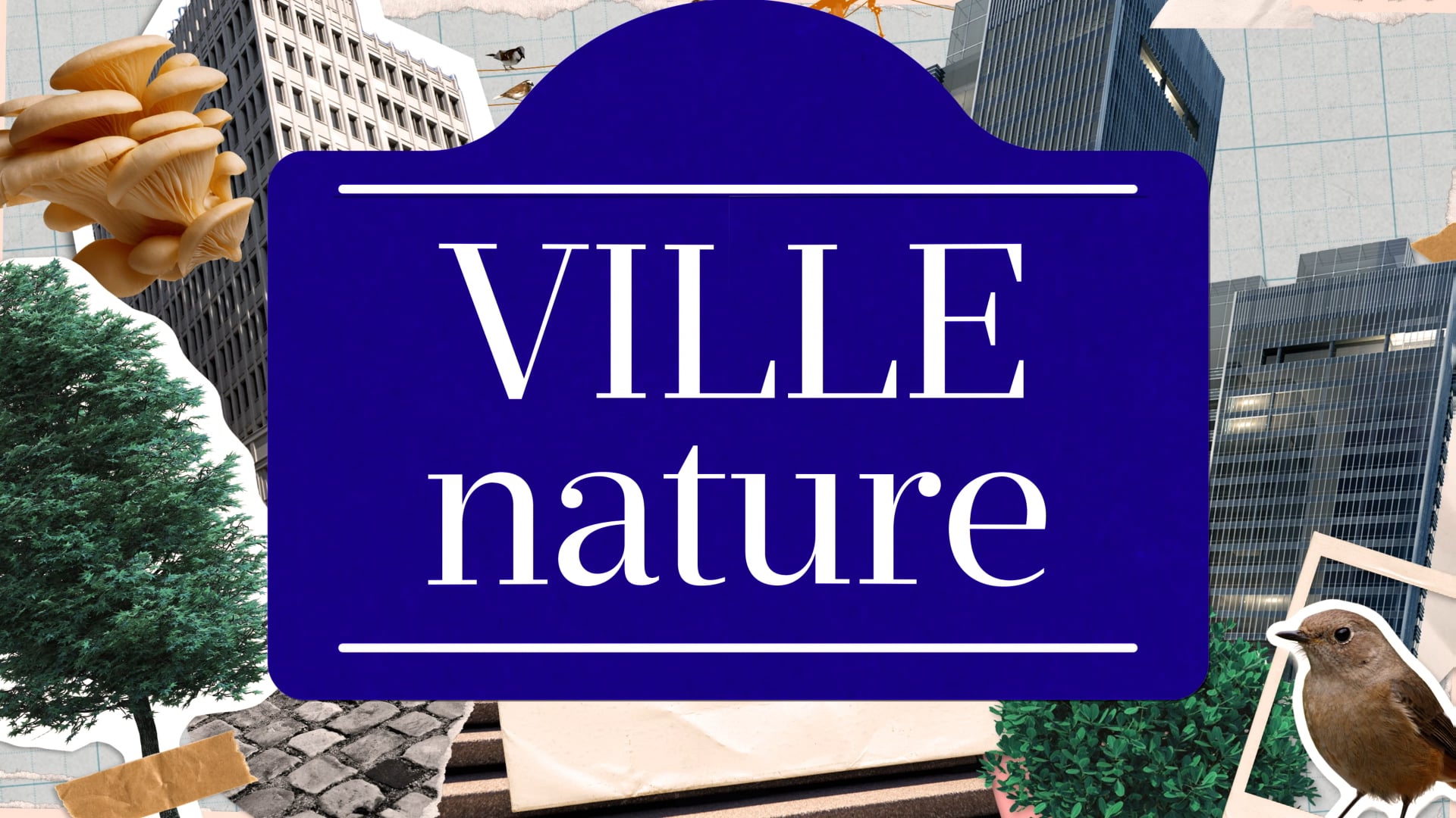 TV Ident : Ville Nature on Vimeo
