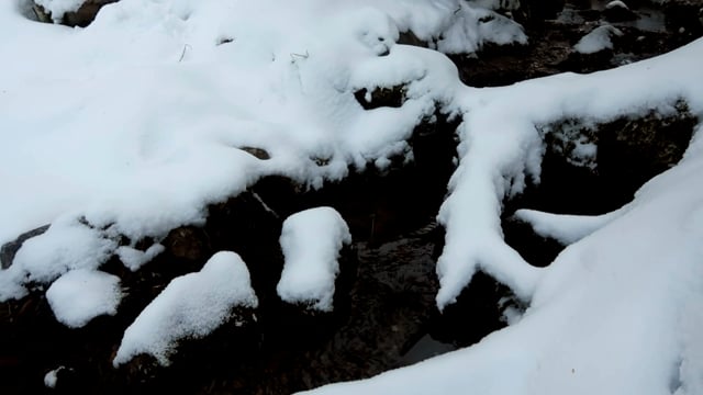 Snow Frost Cold - Free video on Pixabay