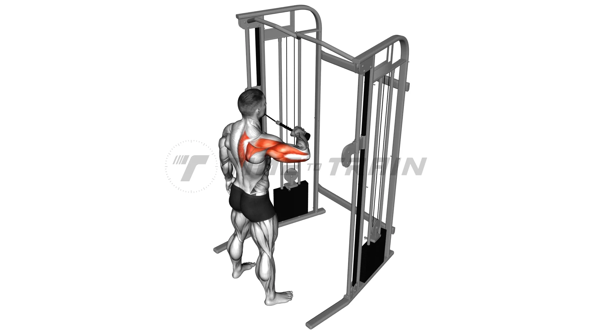 02041201-Cable-Rear-Drive_Upper-Arms_ on Vimeo