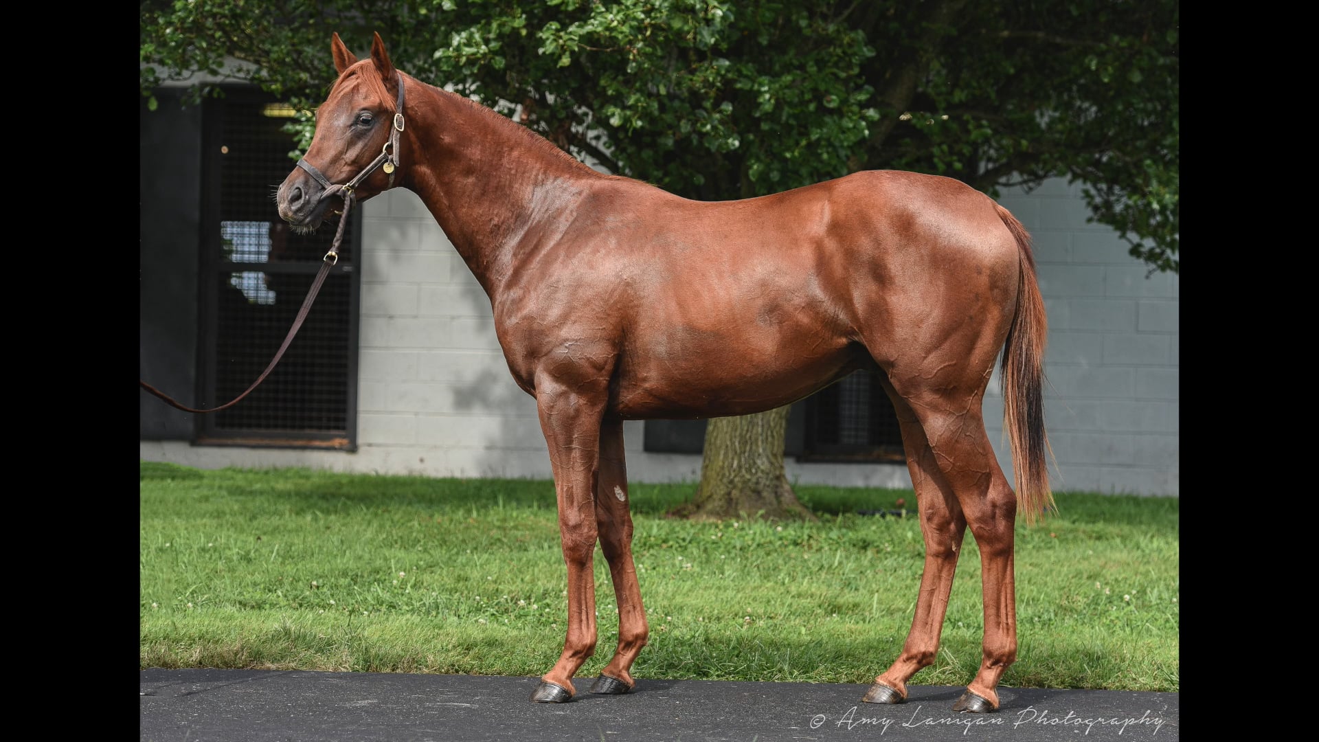 Hip_3453_KEESEP22-Filfila on Vimeo