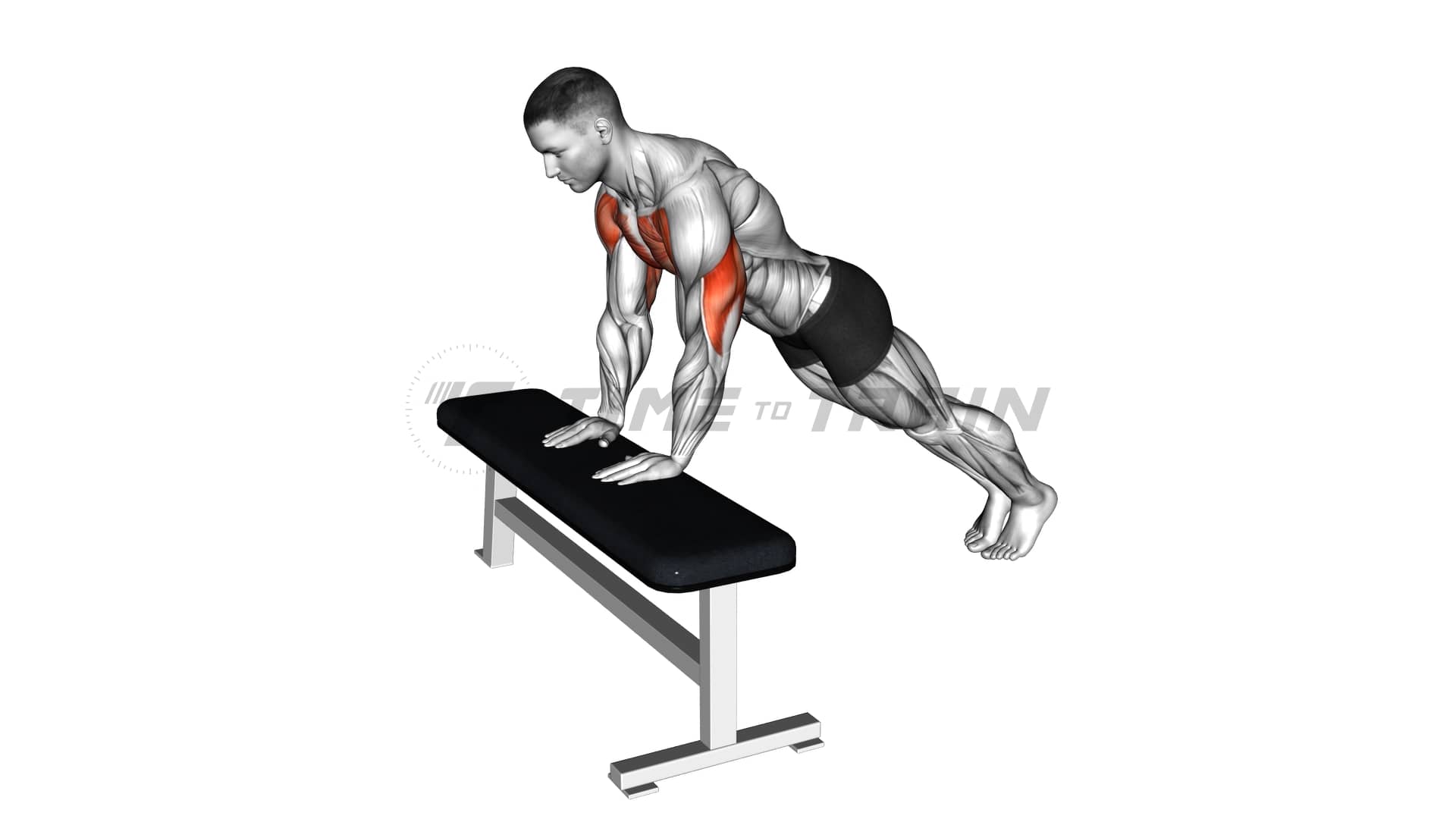 51601201-Incline-Close-Grip-Push-Up_Upper-Arms_ on Vimeo
