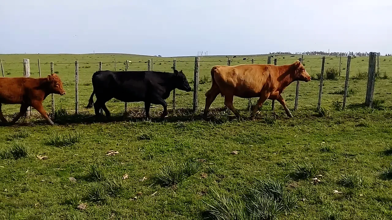 Marisel Cardozo - 690 on Vimeo