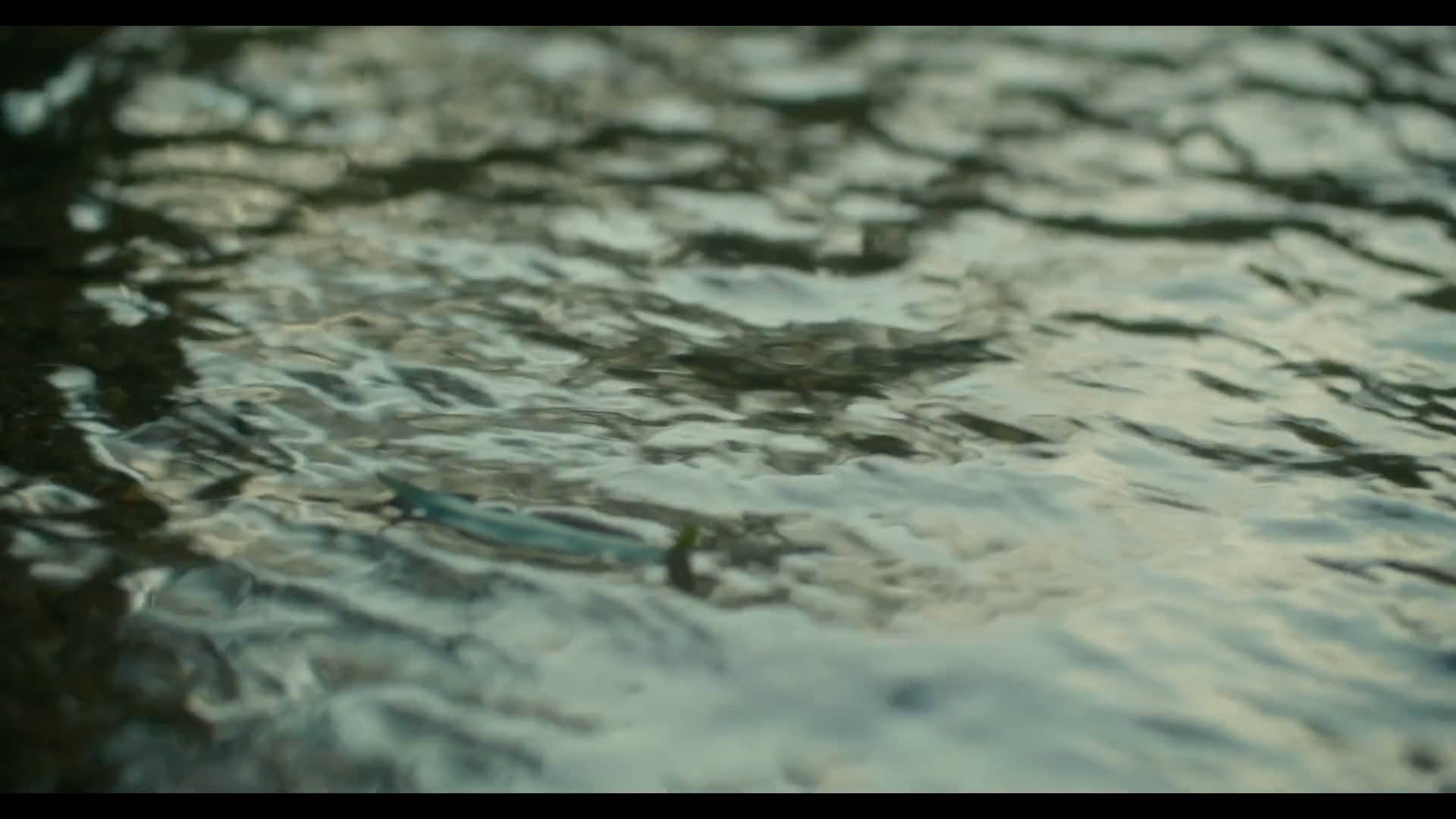 bus_driver_trailer_(2022) (1080p) on Vimeo