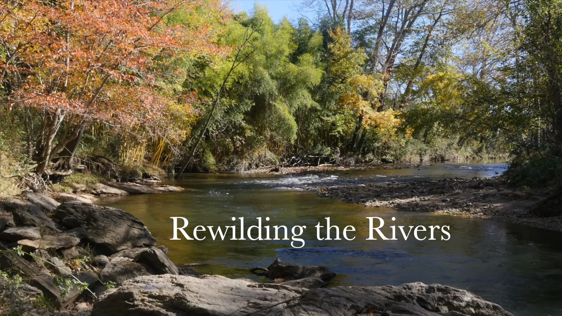 Rewilding the Rivers on Vimeo