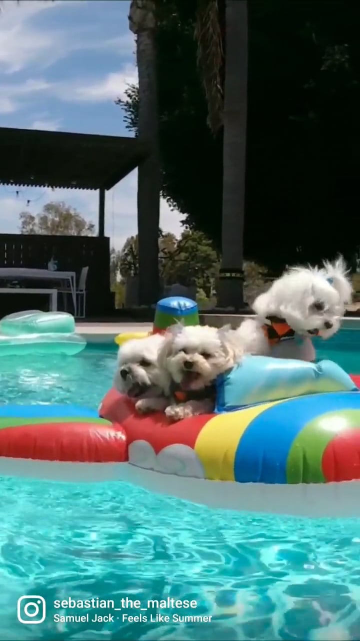 Feels like Summer pool party on Vimeo
