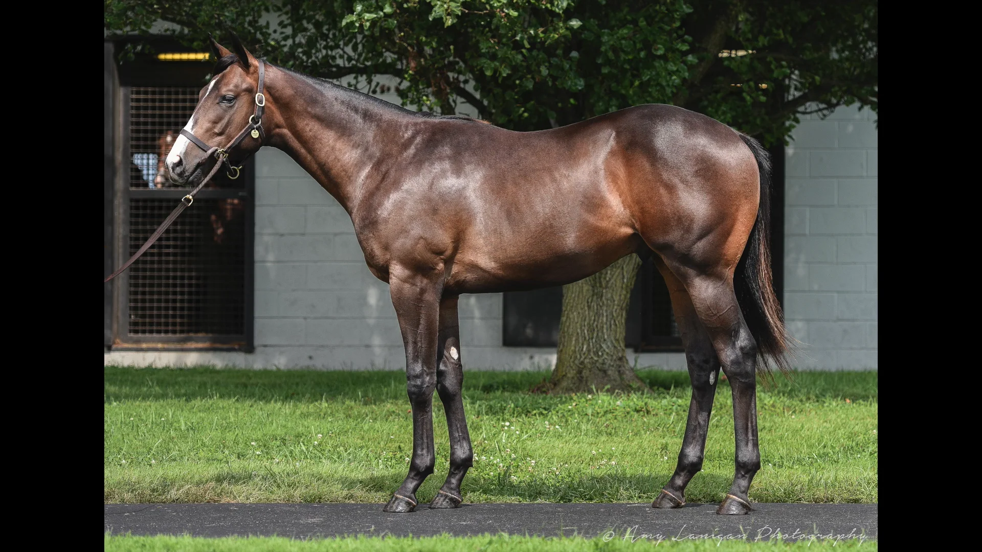 Hip_1952_KEESEP22-Oh_Boo_Hoo on Vimeo