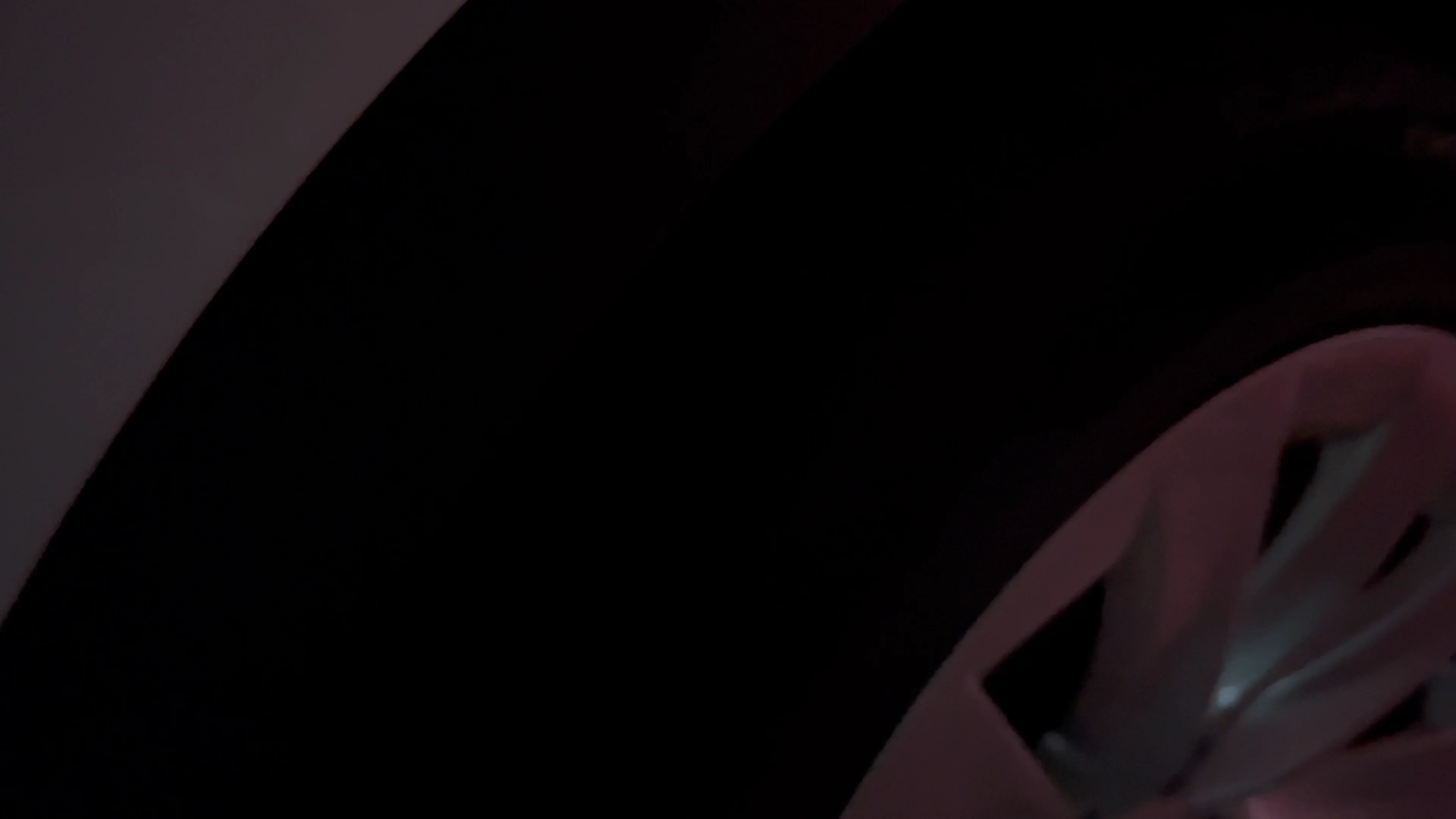 Model X Noise While Reversing on Vimeo