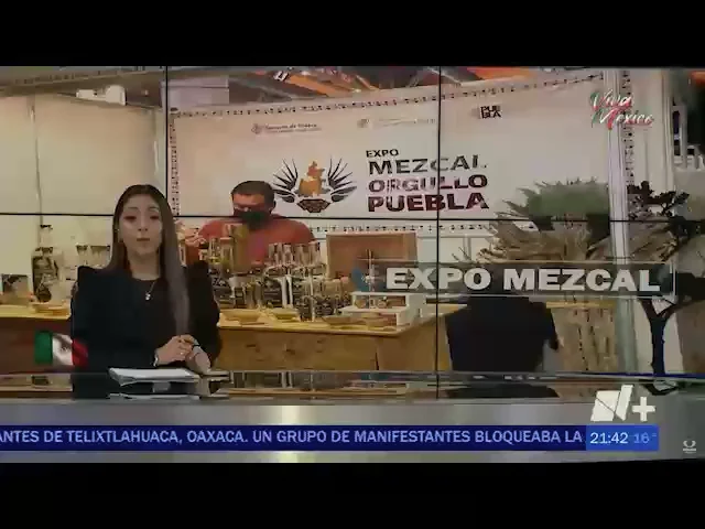TV3 Las Noticias 4.1 con Carolina Gil on Vimeo