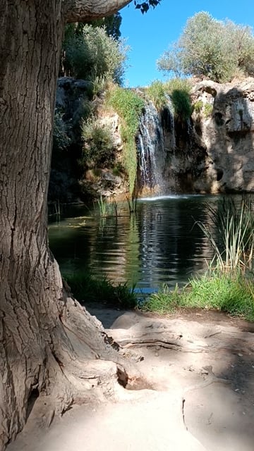Cascada Bosque Vista - Free video on Pixabay - Pixabay
