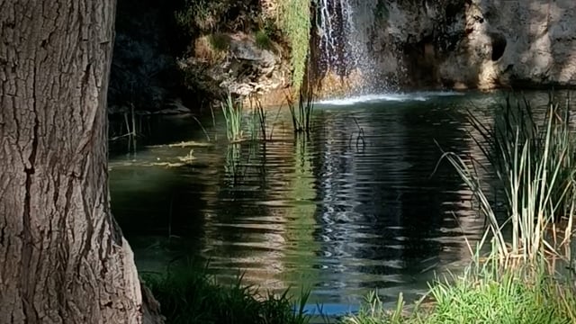 Waterfall Cascade Forest - Free video on Pixabay