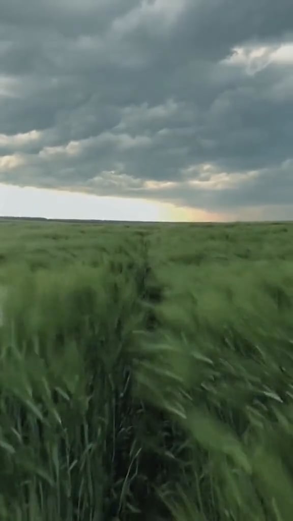 The shape of the wind.mp4