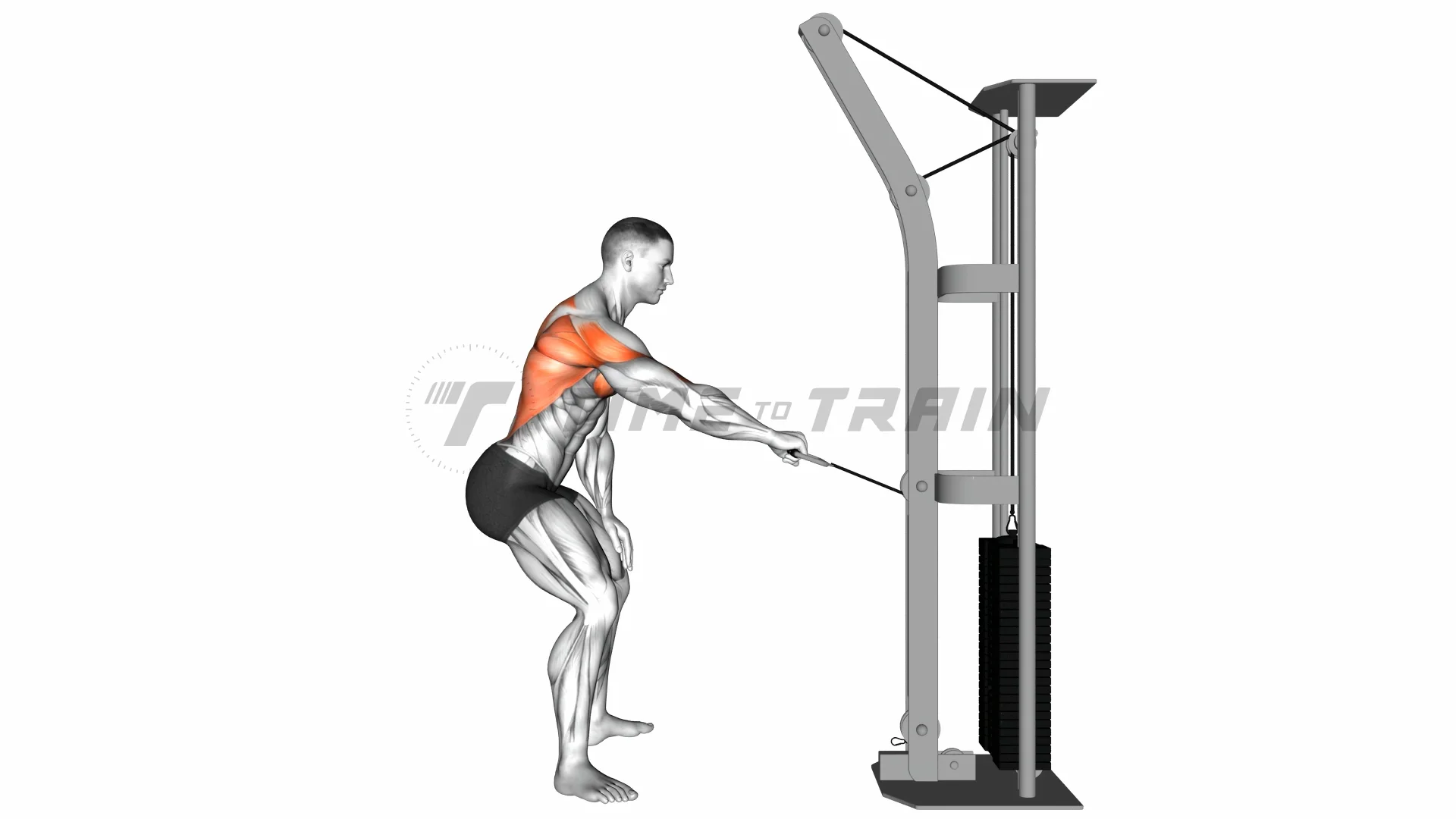 13191201-Cable-Palm-Rotational-Row_Back on Vimeo