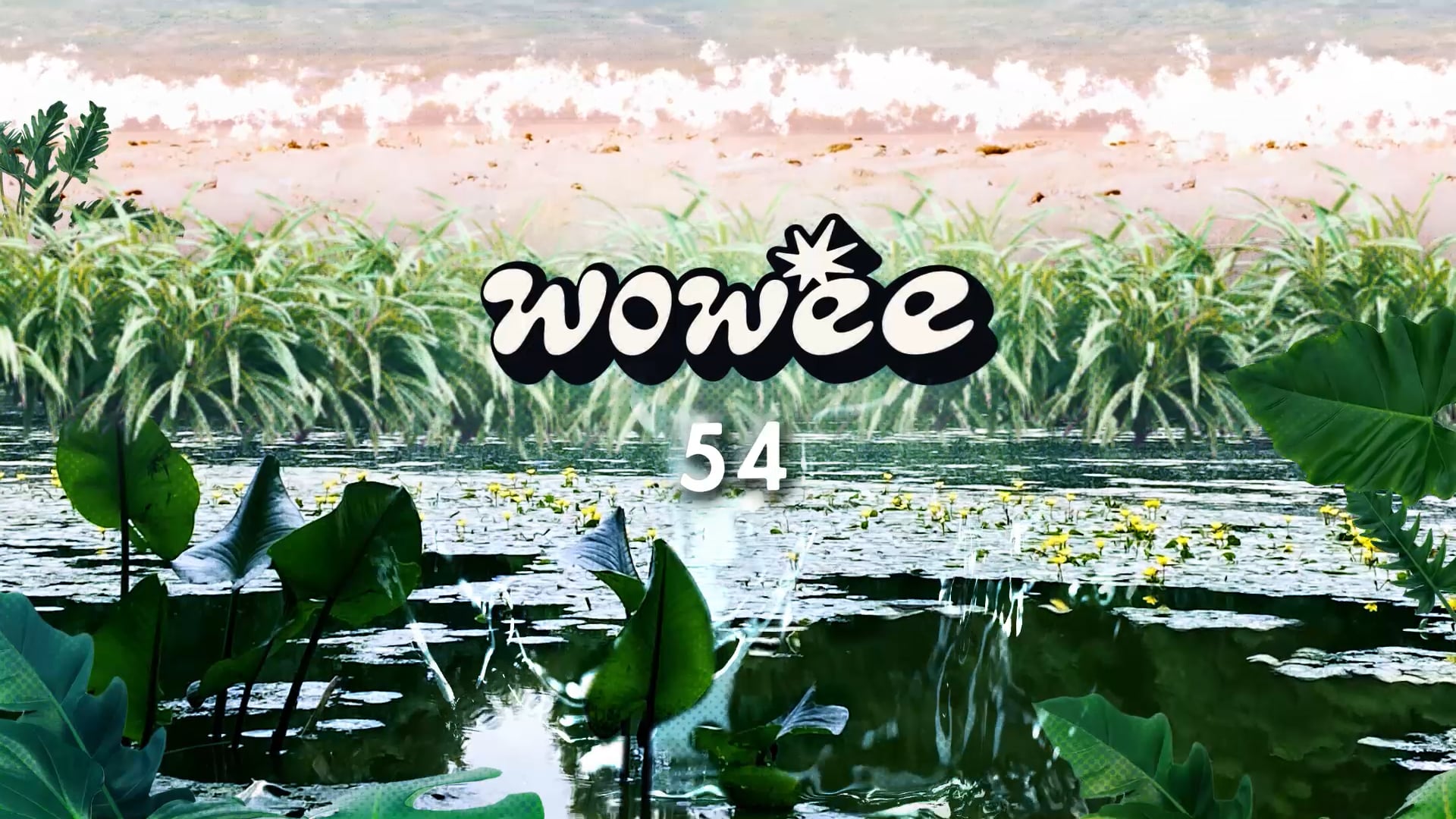 Coundown Logo Wowee v2 on Vimeo