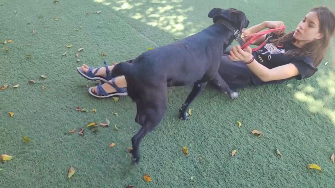 bella_vid_nuevo1.mp4 on Vimeo