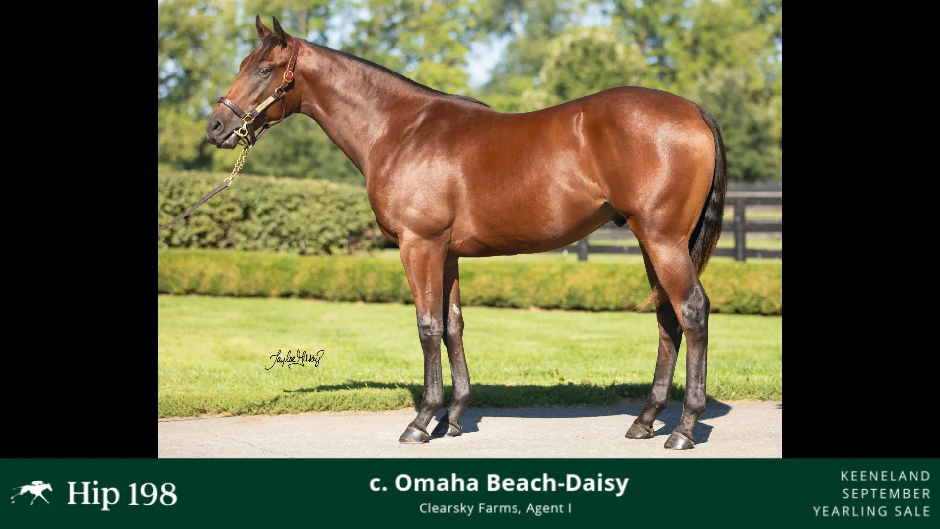 KEESEP22 198 Daisy 21