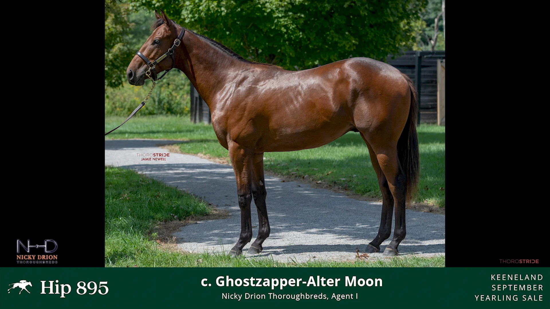 KEESEP22_895_Alter Moon 21 on Vimeo