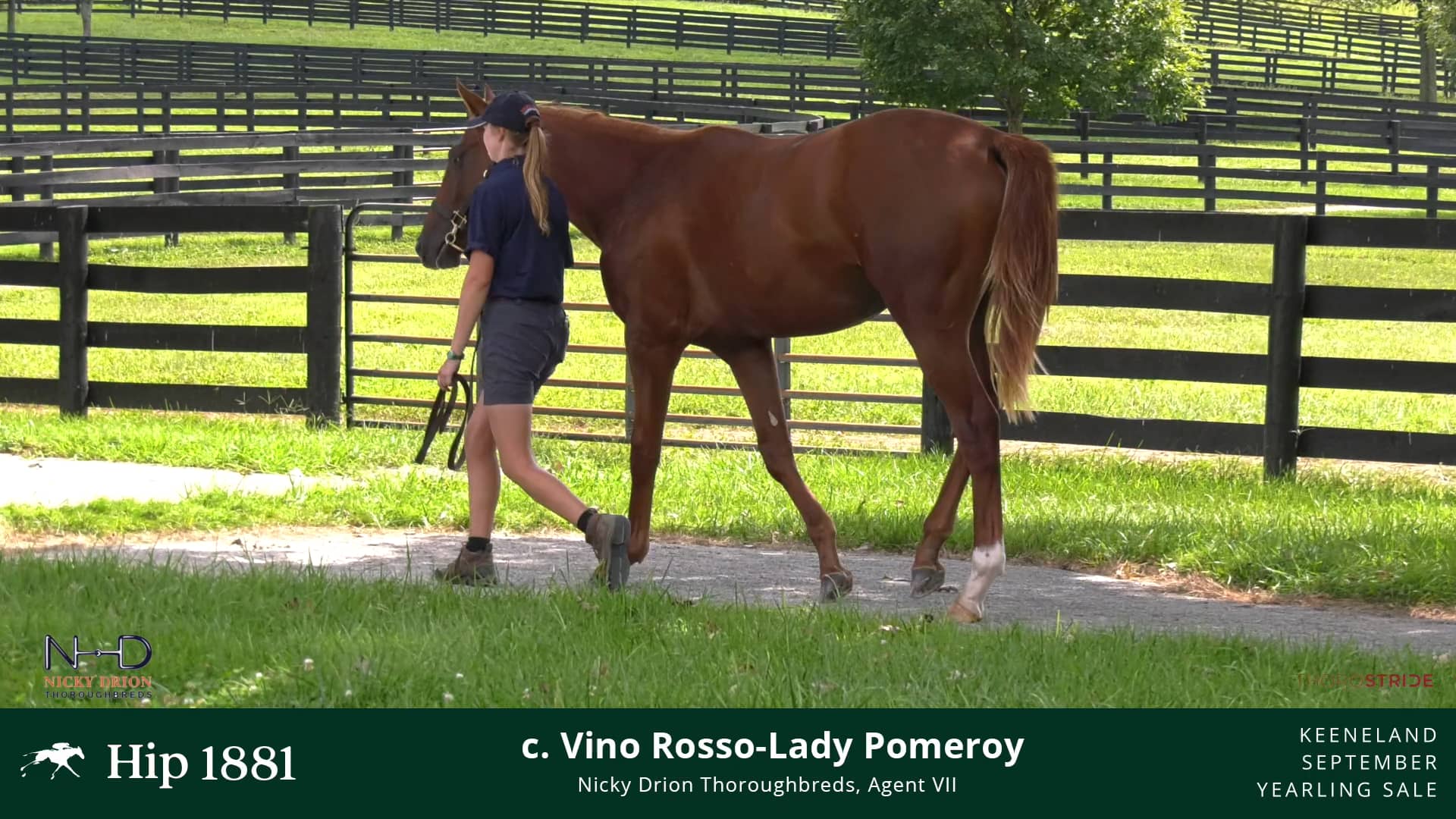 KEESEP22_1881_Lady Pomeroy 21 on Vimeo