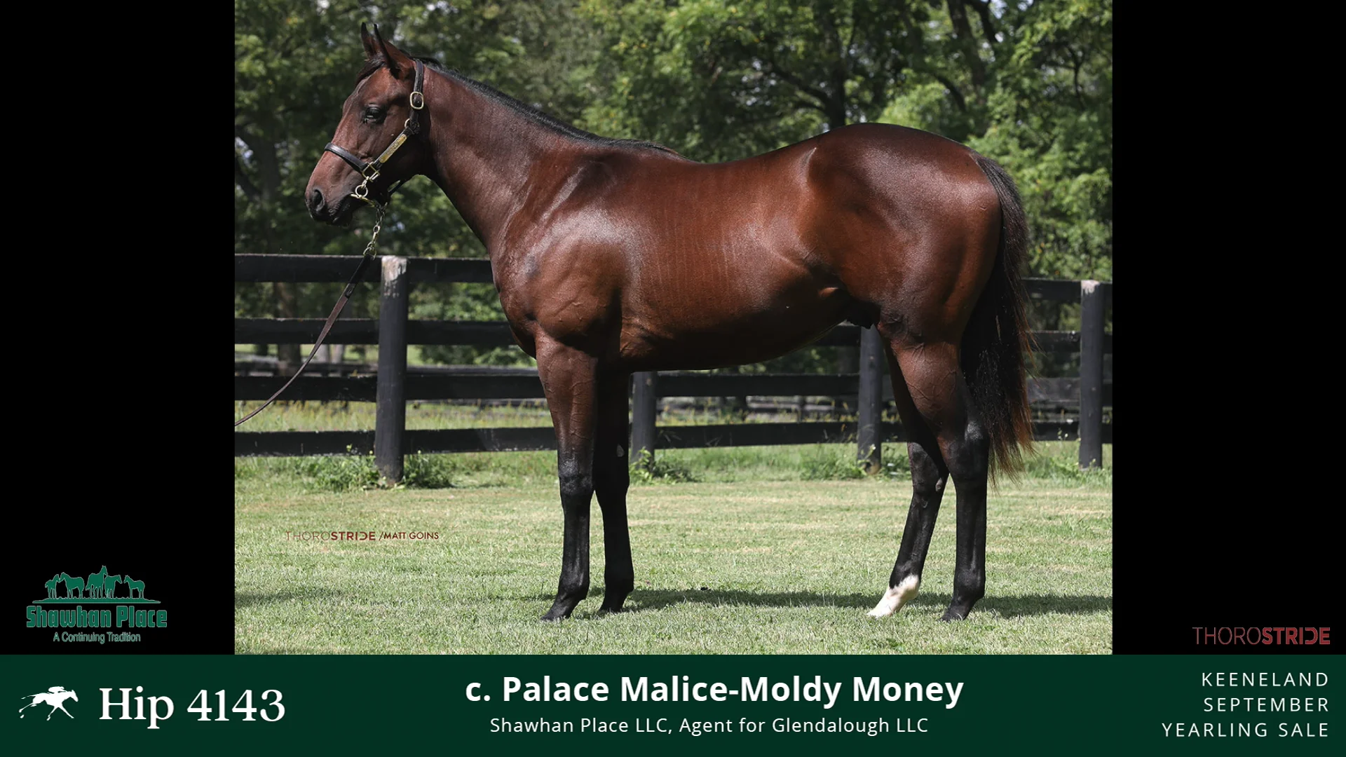KEESEP22_4143_Moldy Money 21 on Vimeo