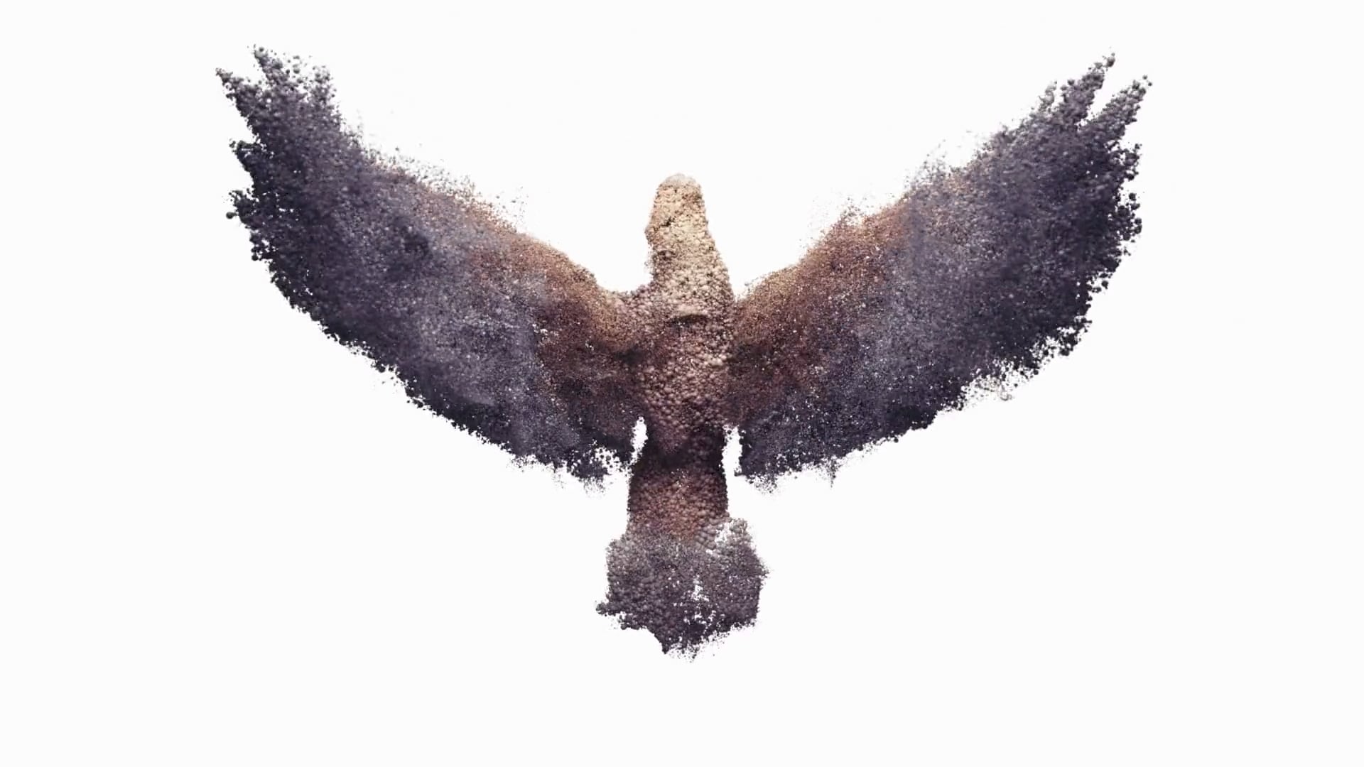 Particle Animals | Eagle on Vimeo