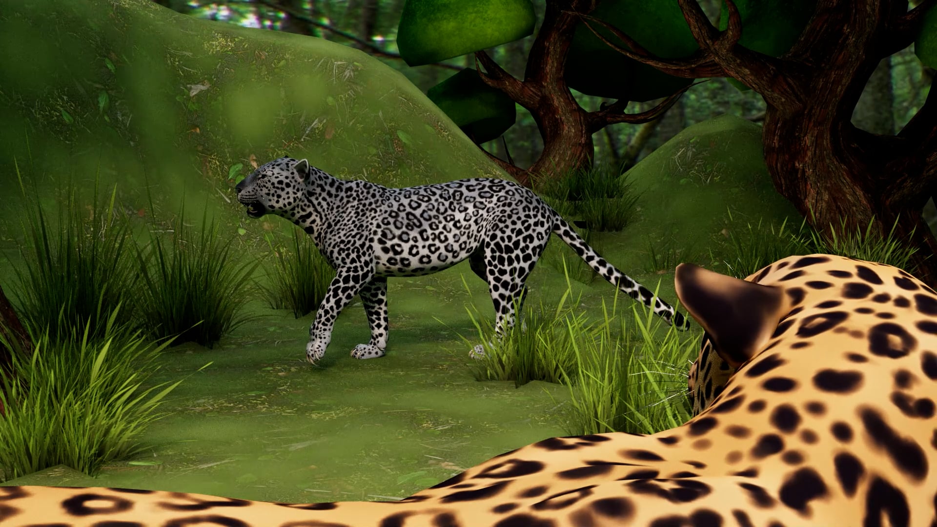 sadiepryor_leopard_scene_final on Vimeo