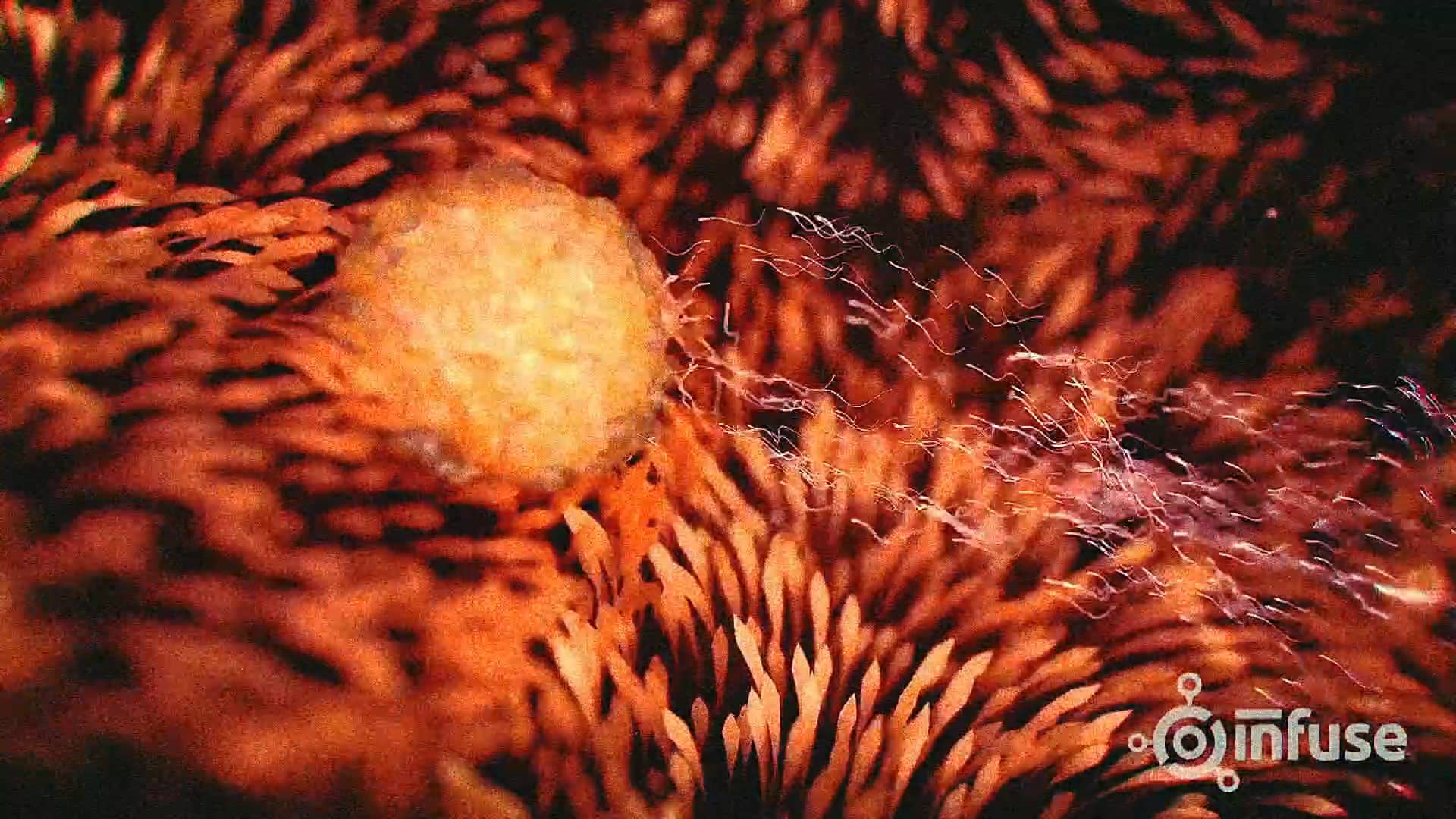 MUST BE THE CAST PROMO on Vimeo