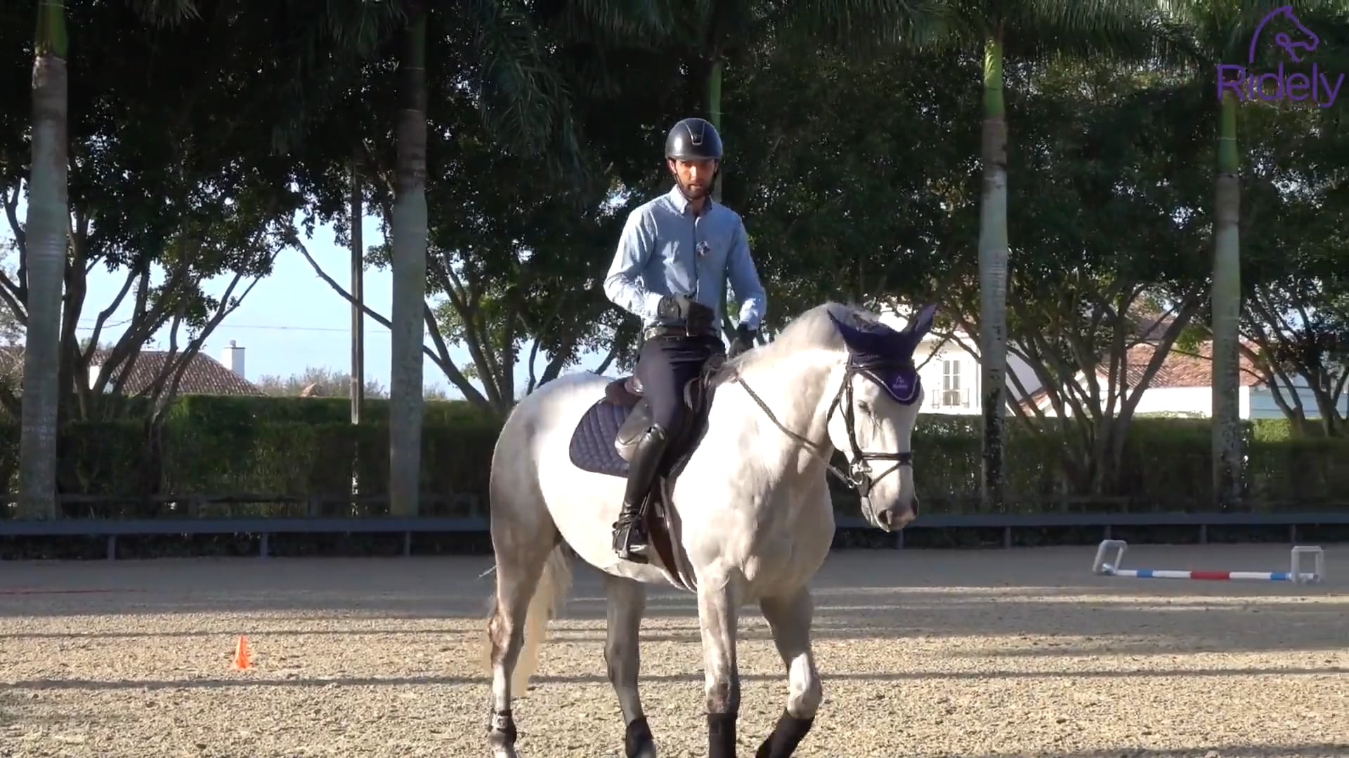 Serpentines With Cones & Lateral Work Part 2 | Ridely